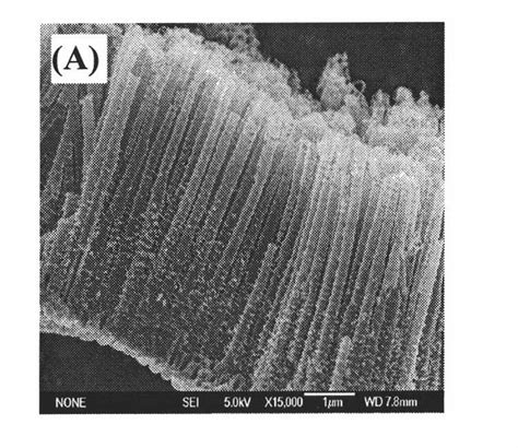 Preparation Method Of Fe C Tio2 Nano Tube Array Eureka Patsnap