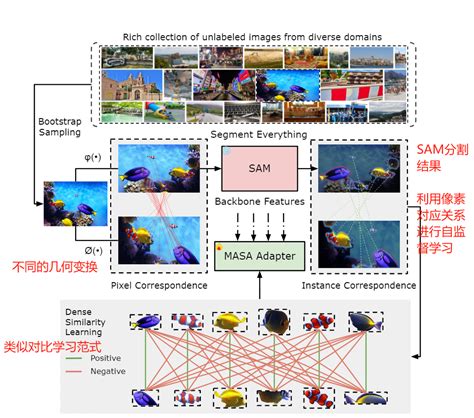 论文阅读笔记33 Matching Anything By Segmenting Anything Cvpr2024 Highlight Csdn博客