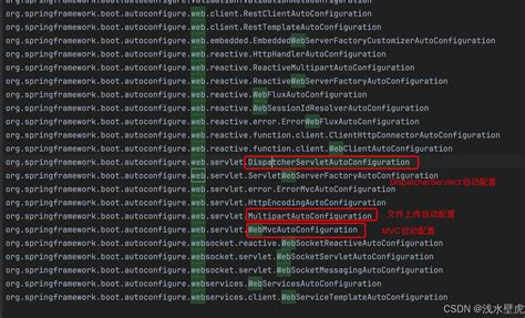 springboot 第五章 web和原理分析） webmvcautoconfiguration csdn博客