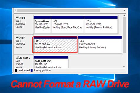 Unable To Format Raw External Hard Drive In Windows 1011 Fixed