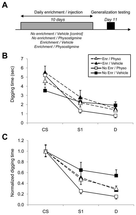 Compensatory Responses To Age Related Decline In Odor Quality Acuity