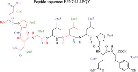 The Chemical Structure Diagram Of Peptide The Structures Marked With Download High