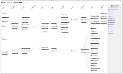 Browse The Virus Taxonomyvisually Ictv