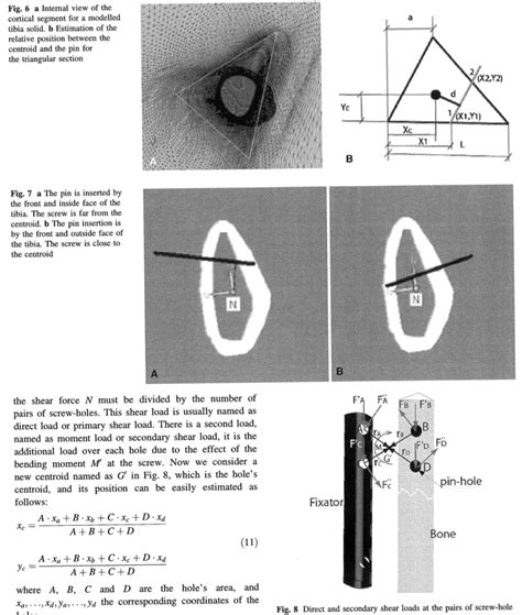 Cortical Segment For A Modelled Tibia Discussion On Pin Layout Download Scientific Diagram