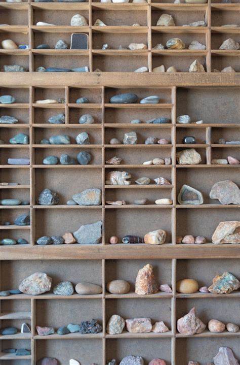 Rock Collection Display Ideas Hemylu Rock Collection Display Case