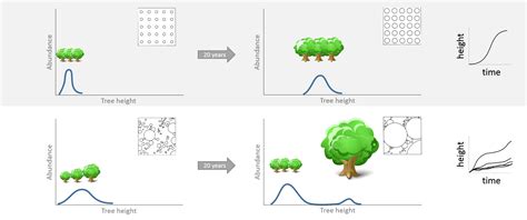 lesson 3 theory of complex systems unigis module spatial simulation