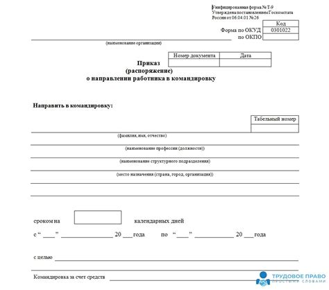 Распоряжение образец 2024