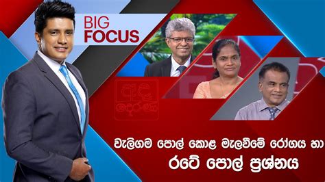 Big Focus වැලිගම පොල් කොළ මැලවීමෙි ⁣රෝගය හා රටේ පොල් ප්‍රශ්නය 2024 12 19 Youtube