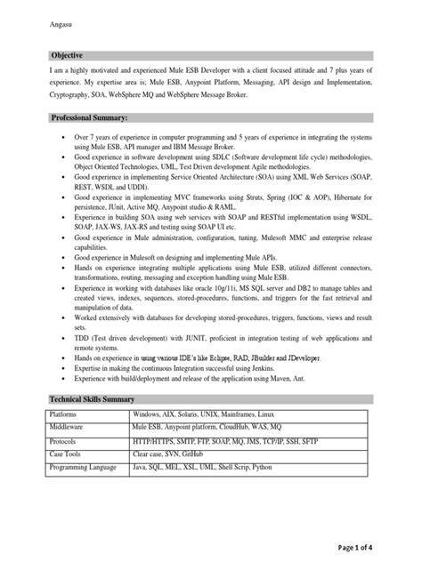 objective angasu pdf application programming interface
