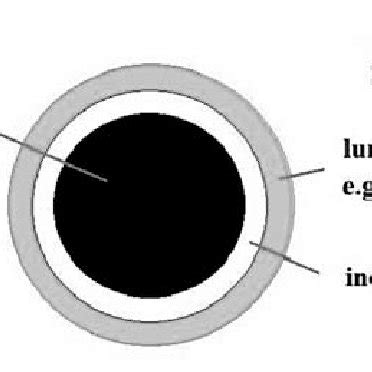 The Scheme Of An Exemplary Core Shell Type Nanostructure Download Scientific Diagram