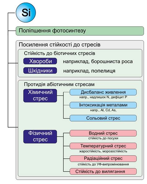 Квантум АкваСил (20 л.) - Агро-Віннер