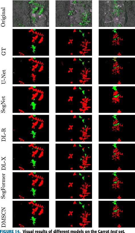 figure 14 from dense multi scale convolutional network for plant
