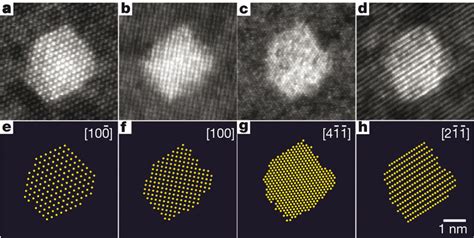 Comparison Of Experimental Images With Projected 3d Reconstructions