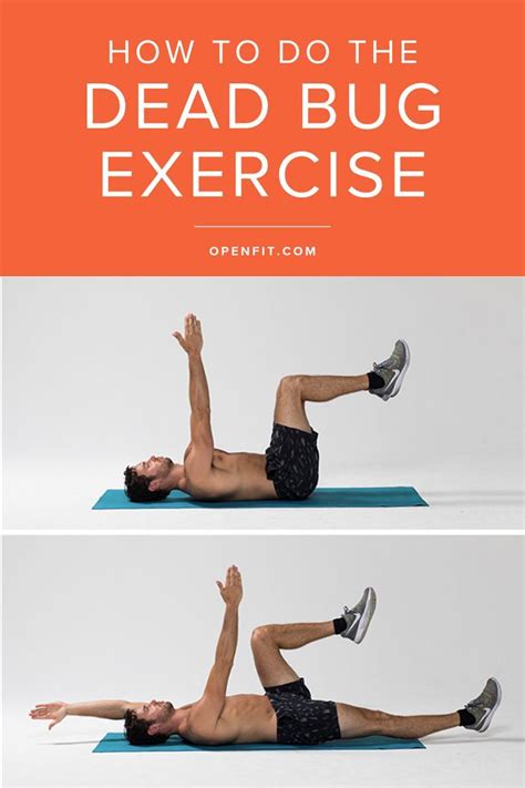 How To Do The Dead Bug Exercise Dead Bug Exercise Exercise Workout
