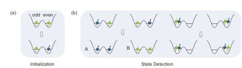 Experimental Sequence For State Initialization And Detection A For