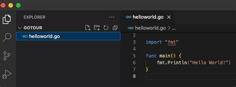 Golang Vscode Myapollo