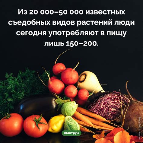 Сколько в мире съедобных растений