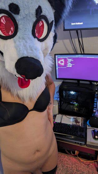Fursuit Mursuit Luscious Hentai Manga And Porn