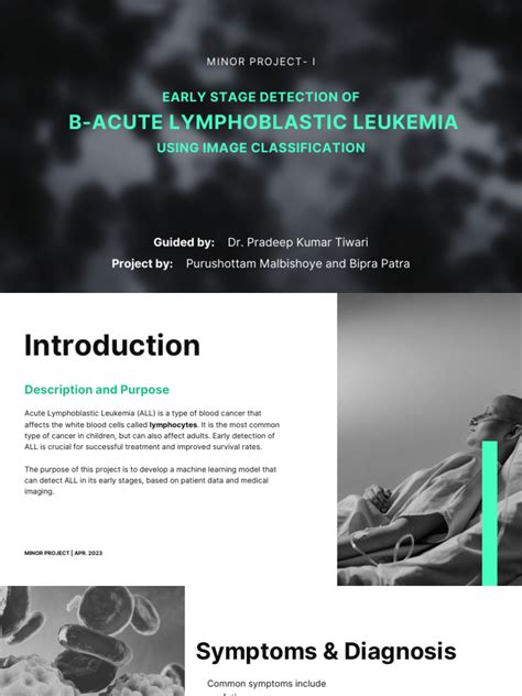 B All Prediction Using Computer Vision Tensorflow Pdf Leukemia