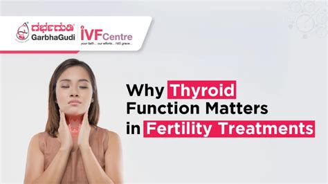 Why Thyroid Function Matters In Fertility Treatments