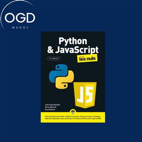 PYTHON ET JAVASCRIPT MEGAPOCHE POUR LES NULS E EDITION
