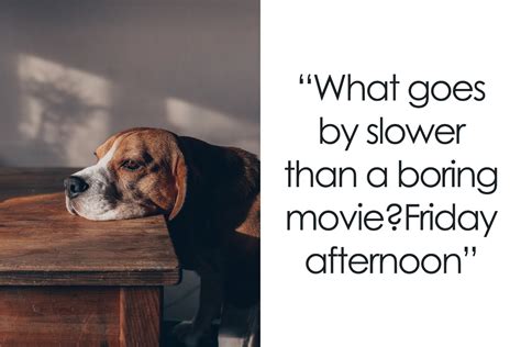 128 Friday Jokes For Work To End The Week With Some Giggles Bored Panda