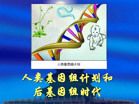 2第二章 人类基因组计划 Word文档在线阅读与下载 无忧文档
