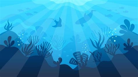 Clipart Ocean Underwater