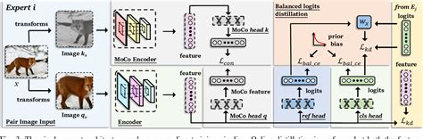 Figure 1 From Towards Effective Collaborative Learning In Long Tailed Recognition Semantic Scholar