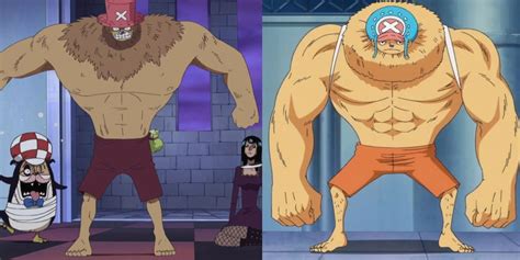 One Piece Choppers Transformations Explained