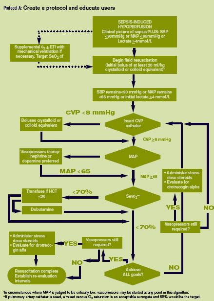Severe Sepsis Algorithm