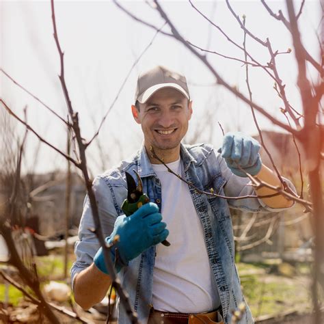 Tree Pruning 2024 — White Feather Farm