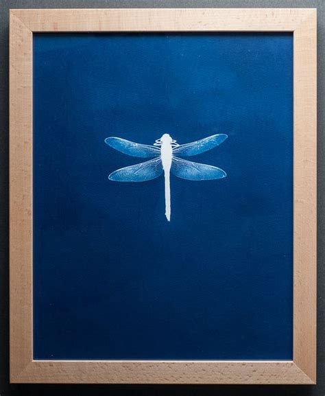 Dragonfly Cyanetica Cyanotype Process Sun Prints Art Tutorials