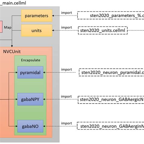 arrangement of the model showing the cellml scripts involved