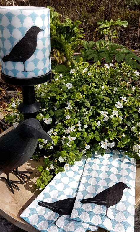 Raven pattern heklaíslandi