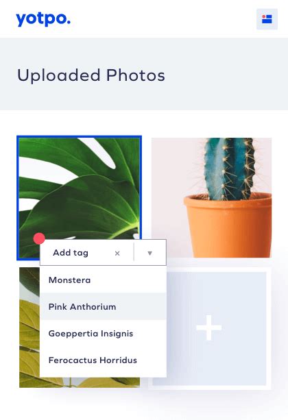 Adobe Commerce Magento Integration Yotpo