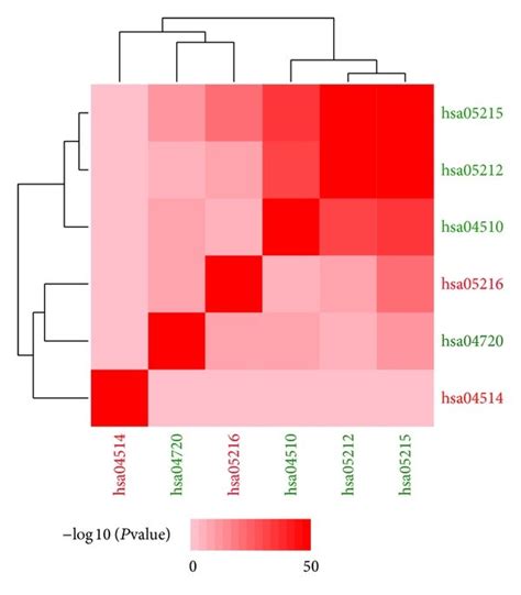 Pathway Crosstalk Analysis And Functional Clustering A Hierarchical