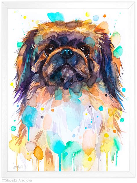 Пекинез Куче акварелна картина художник Славейка Аладжова Куче акварелна картина художник