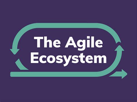 The Agile Ecosystem Excella