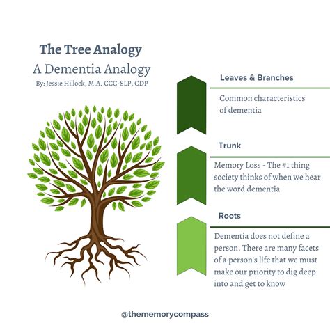 A Helpful Dementia Analogy The Tree Analogy