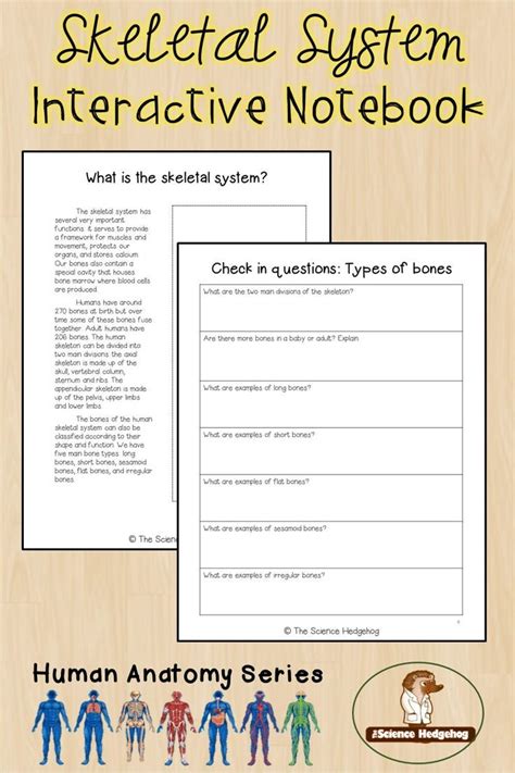 Skeletal System Notes Interactive Notebooks Skeletal System Interactive Notebook High School