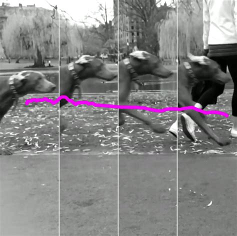 Wolfram Language Example Repository