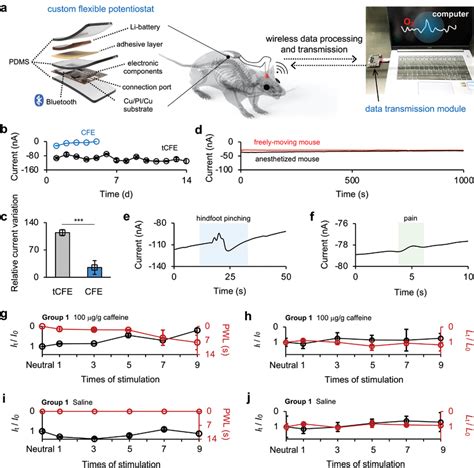 A Schematic Illustration And Photograph Of The Custom Wireless Download Scientific Diagram
