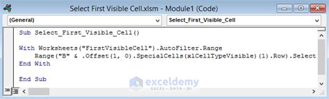 How To Select Visible Cells In Vba Printable Forms Free Online