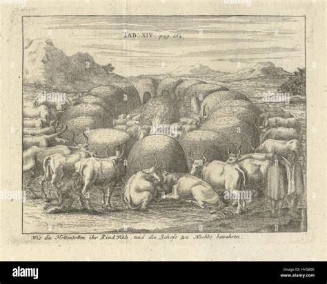 This Title Refers To A Specific Digital Catalog Or Identification Code