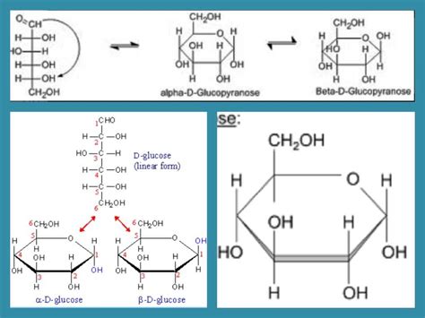 Understanding The Structure Of Alpha Glucose