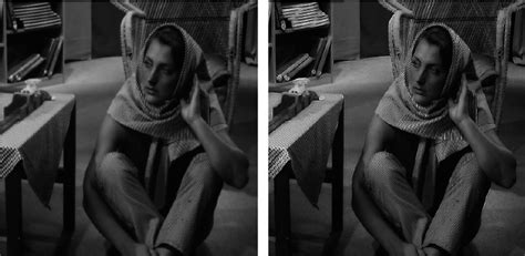 Comparison Of Two Methods Of Image Regularization Download Scientific