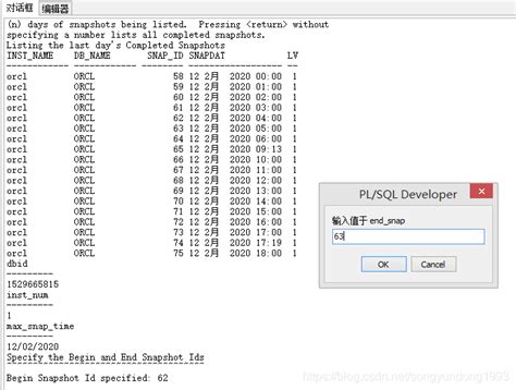 plsql developer客户端生成远程awr报告（ash，addm等其他报告同理） plsql导出awr报告 csdn博客