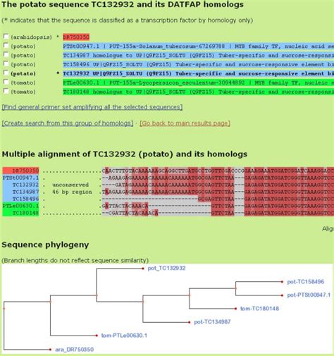 Multiple Alignment And Sequence Phylogeny Download Scientific Diagram Multiple Alignment And Sequence Phylogeny Download Scientific Diagram
