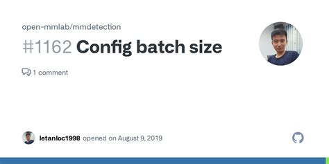 Config Batch Size Issue Open Mmlab Mmdetection GitHub
